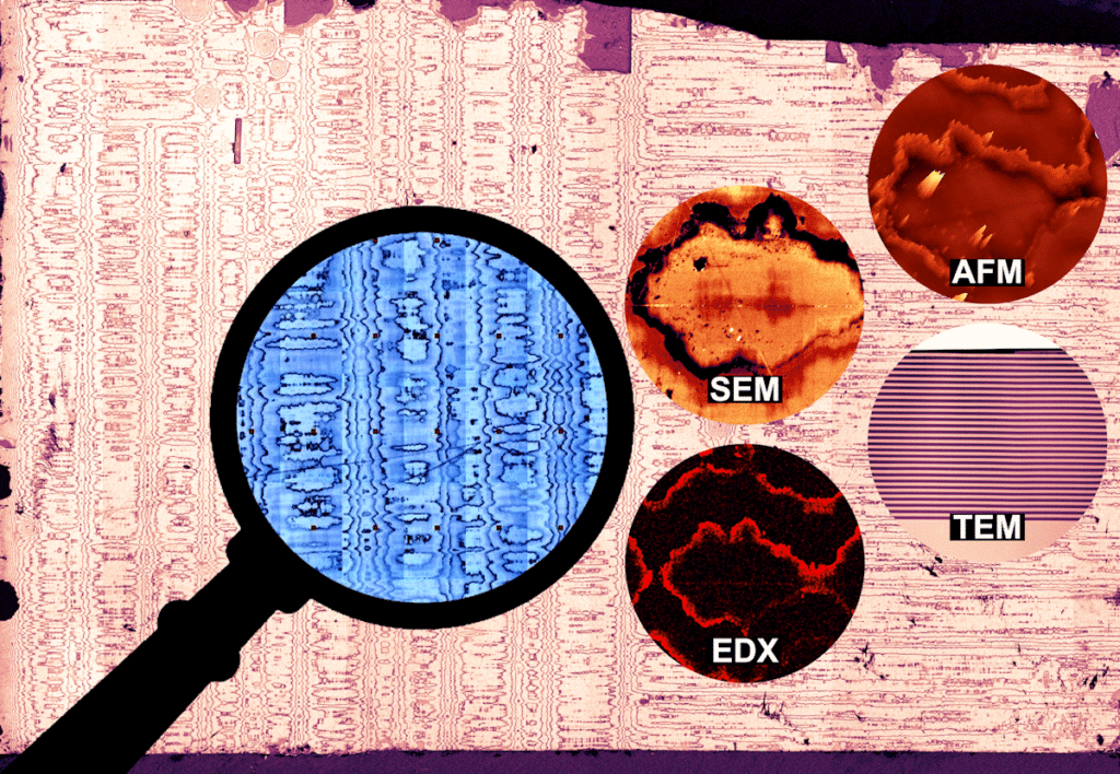 Correlative imaging workflow available on SEM/FIB | nanoFAB